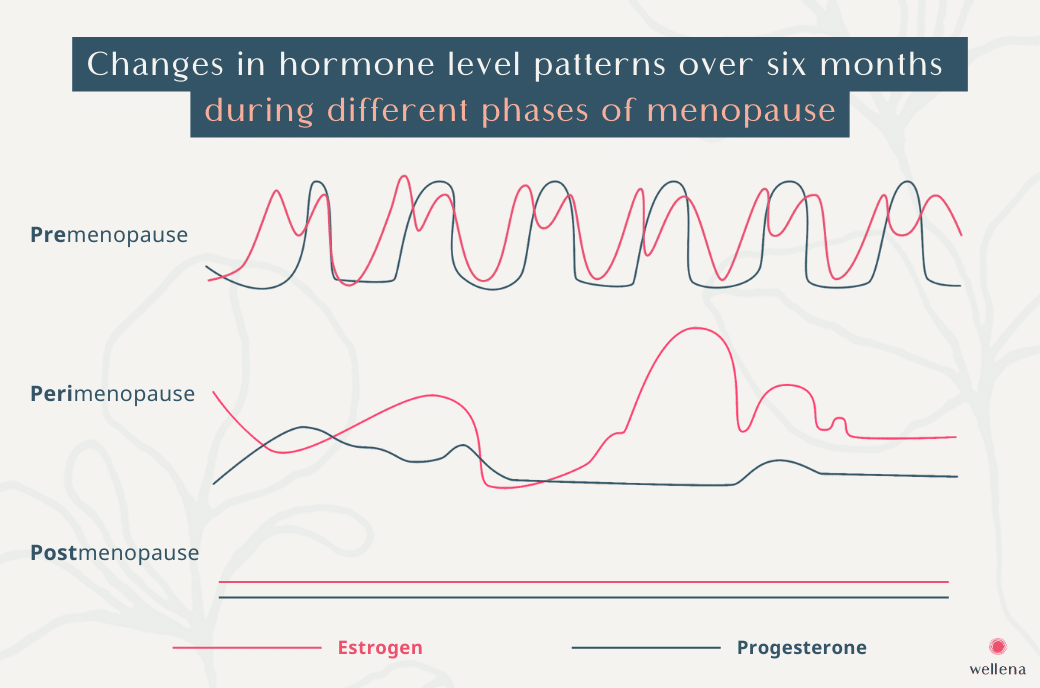 Perimenopause: From Symptoms to Solutions - HormonesBalance.com